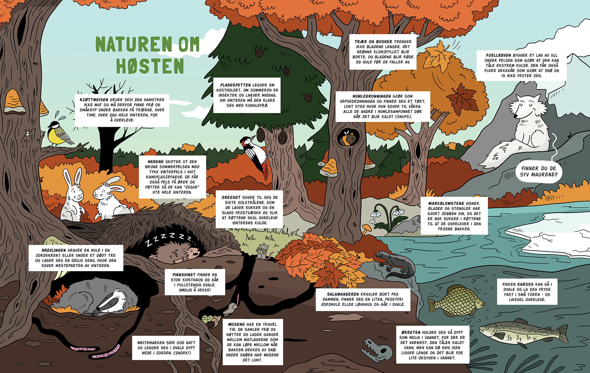 Grønne Greier - Jenny JordahlJenny Jordahl